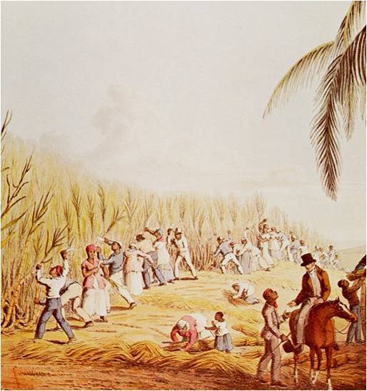 werk van de slaven :: Slavernijinnederlands-indie